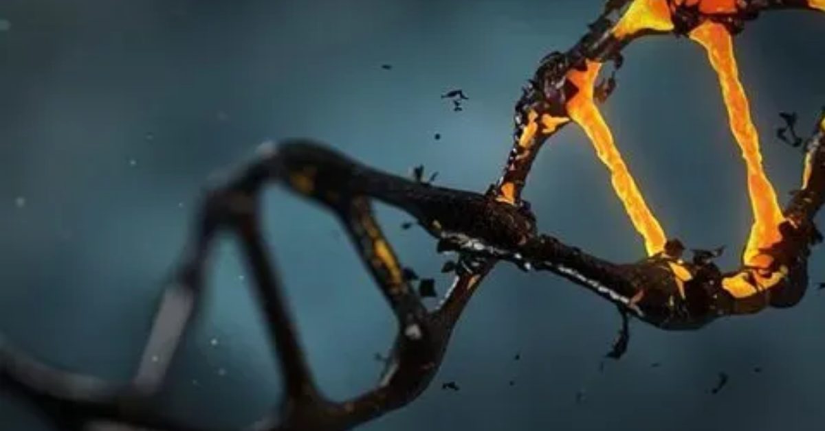 THE COMING 7-YEAR TRIBULATION APOCALYPSE: PART 7 - EWM - 444 Prophecy News