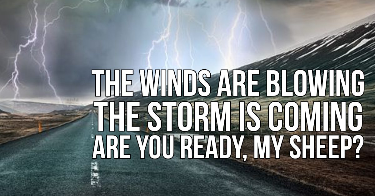 Woe to those who are battering My sheep! - April Denise Stefko - 444 ...
