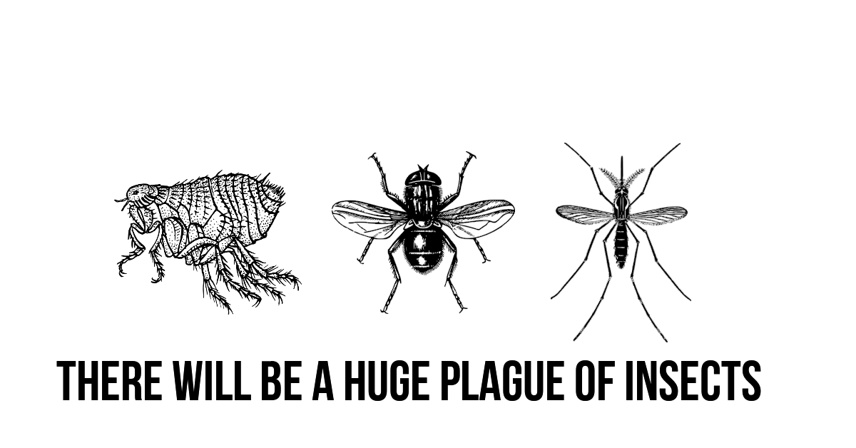 A Plague Of Insects Will Arrive When The Earth Opens Up After The ...