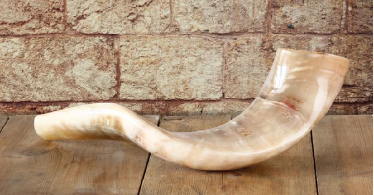 My Appointed Times - Heaven's Shofar - 444 Prophecy News