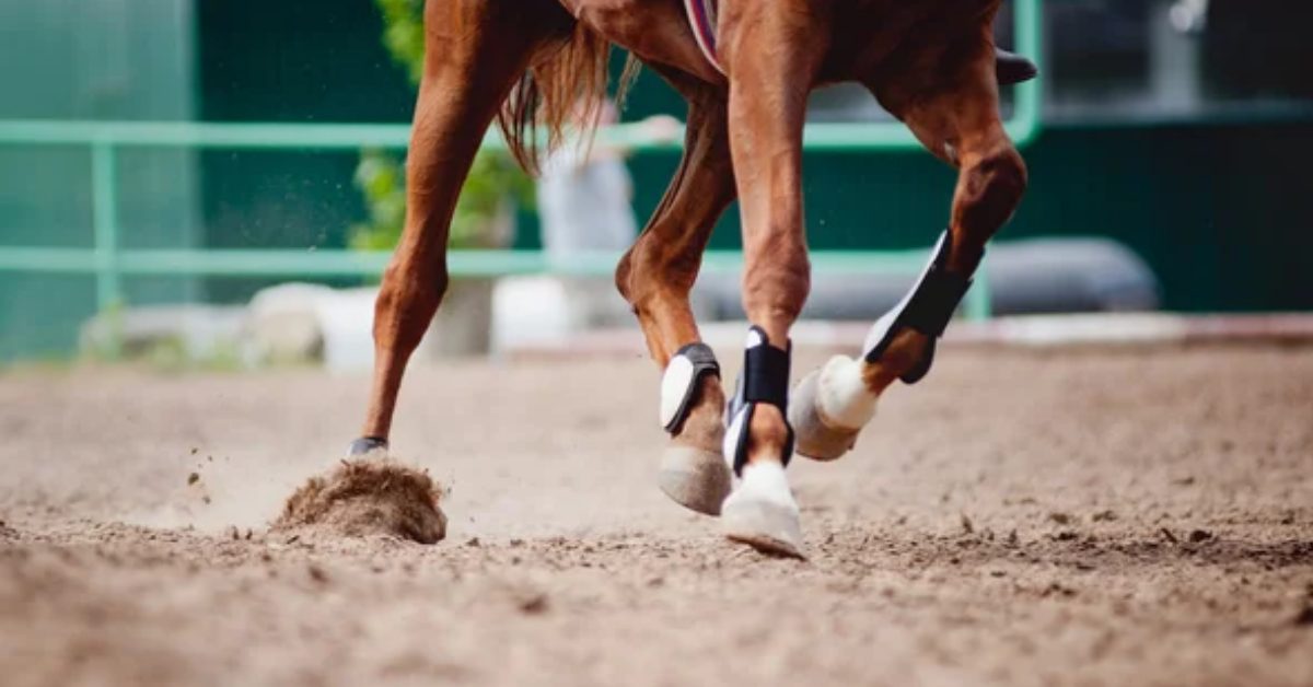 THE FINISH LINE - Averine Pennington - 444 Prophecy News