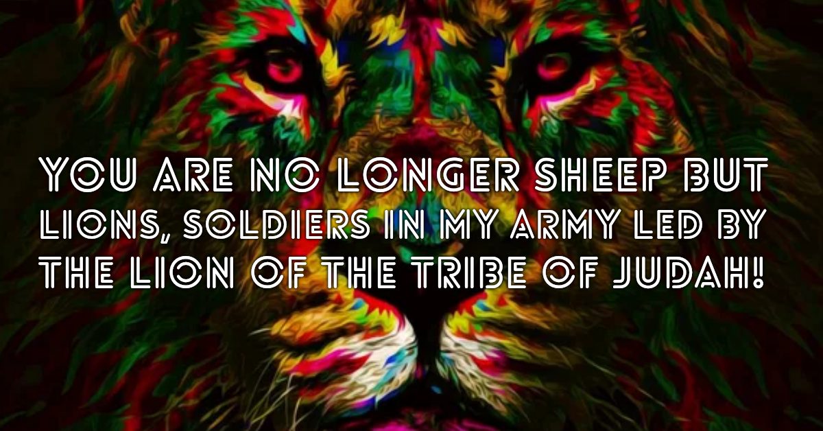 THE AGE OF SONSHIP IS HERE! - Abby K - 444 Prophecy News