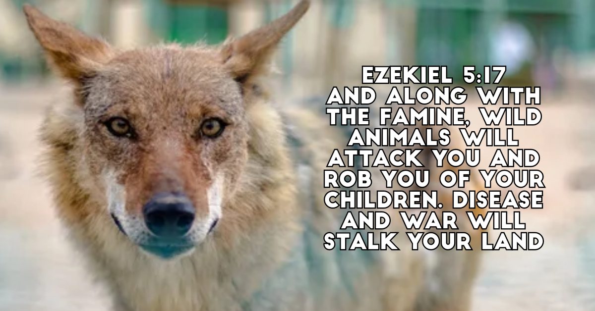 NATURE REBELLED: WORLD WIDE WARNING - Handmaid of the Most High - 444 ...